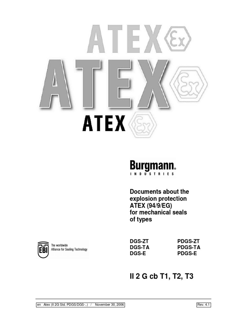 Burgmann_atex II 2g Std Pdgs Dgs Zt _en | PDF