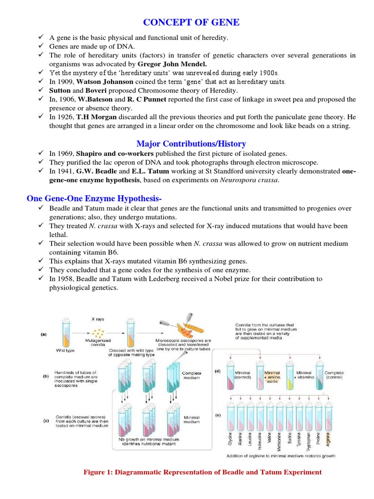 Lecture 1 - Concept of Gene | PDF