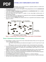 Hyperchromic Effect | PDF | Nucleic Acid Thermodynamics | Genetics