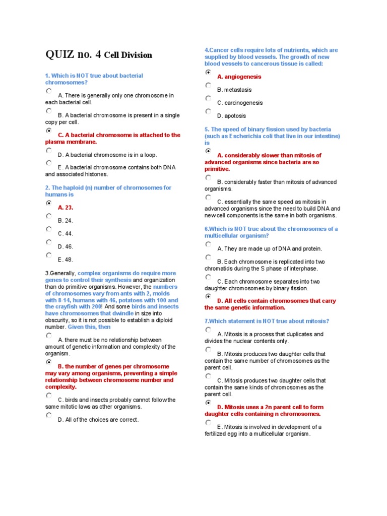 QUIZ#4 Cell Division | PDF