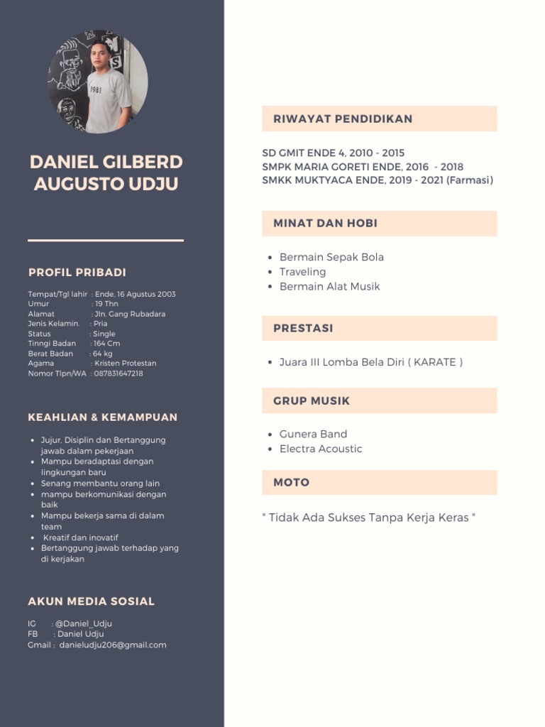 CV Dani | PDF