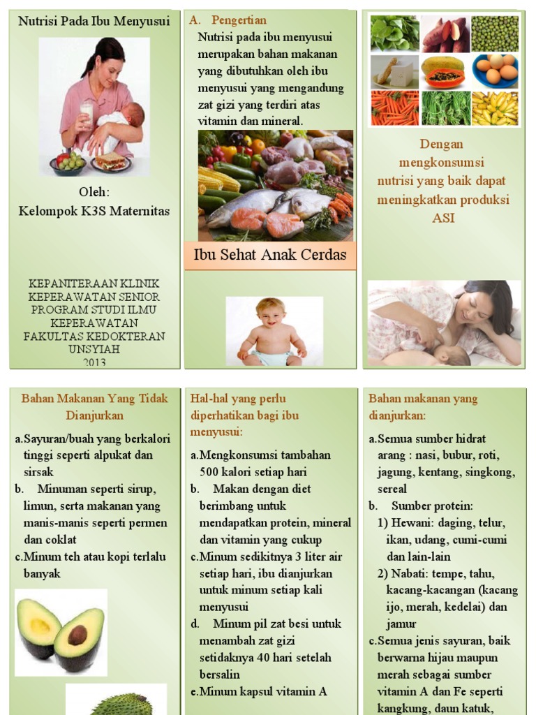 Leaflet Nutrisi Pada Ibu Menyusui | PDF