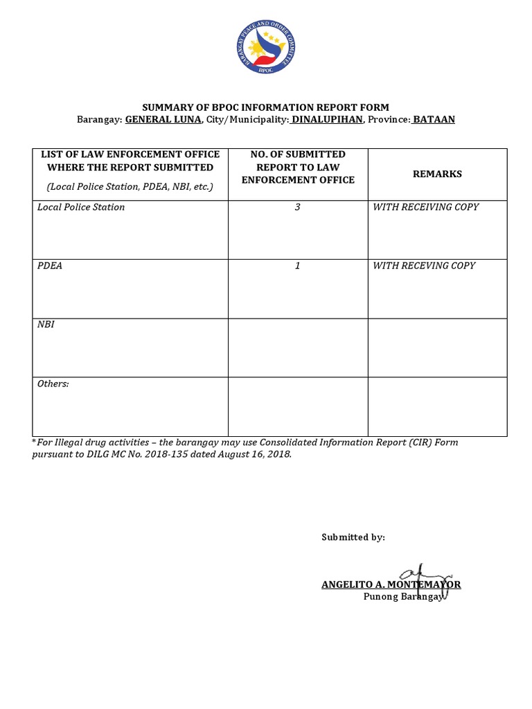 Barangay General Luna Report Summary | PDF