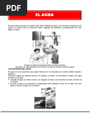 Hoja De Trabajo Sobre El Ciclo Del Agua, Primer Grado