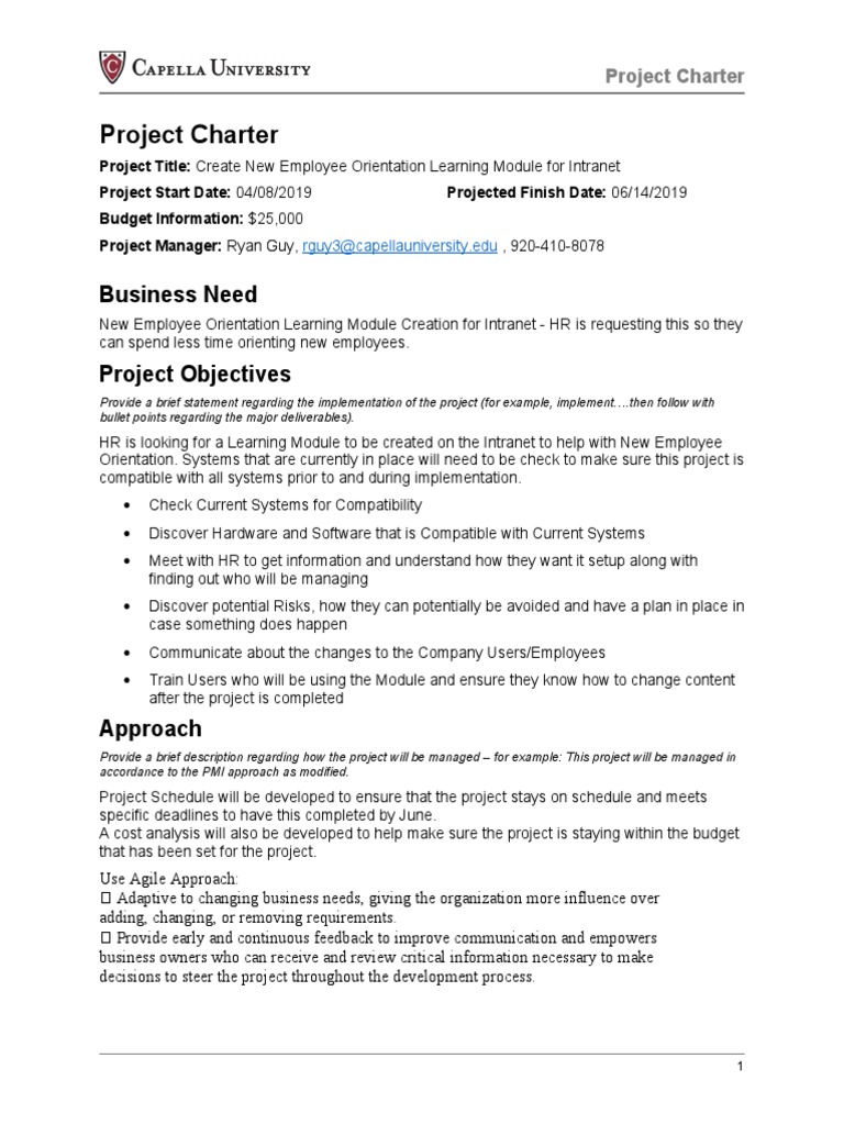 Group 1 Project Charter | PDF | Project Management | Product Lifecycle