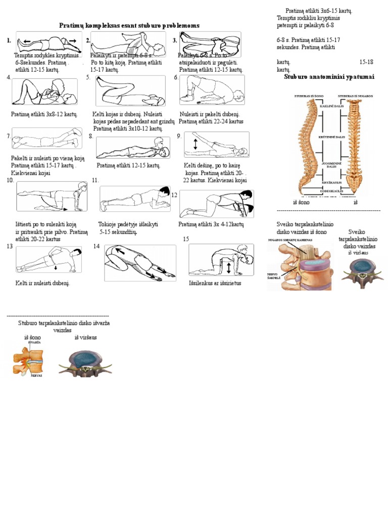 PRATIMAI STUBURUI PDF formatu | PDF