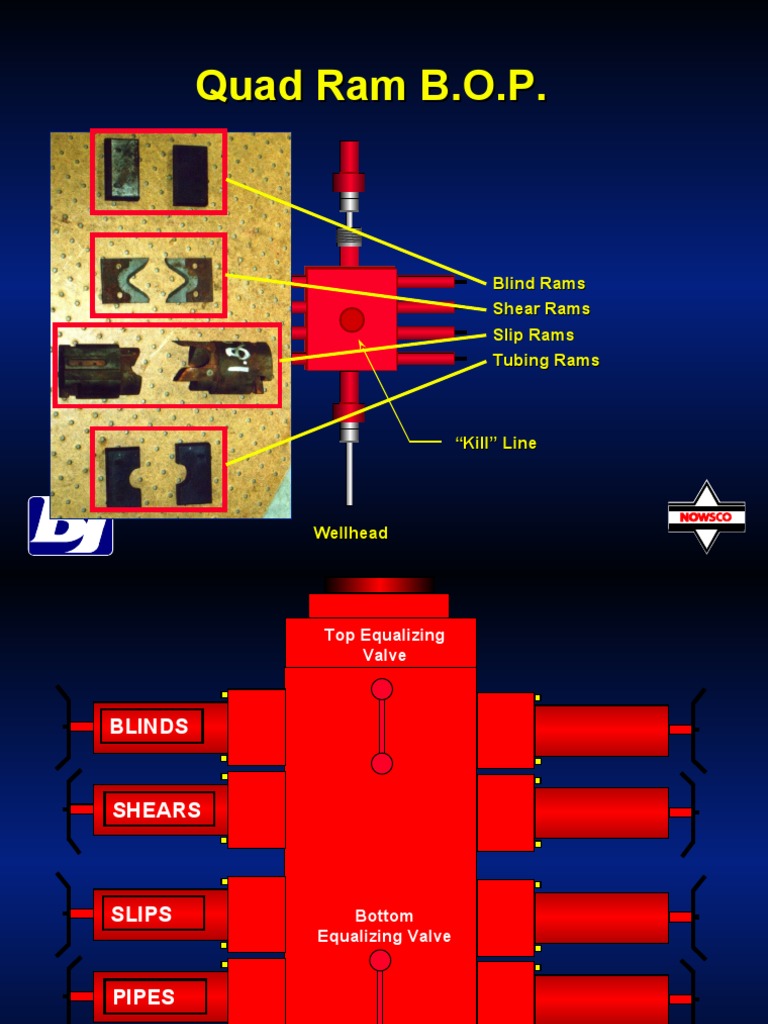 BOP Function Presentation | PDF