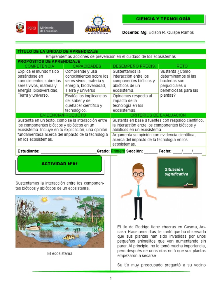 Interacciones en Ecosistemas para Niños | PDF | Ecosistema | Ecología