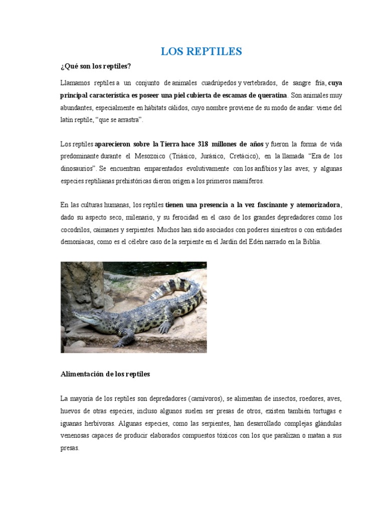 Los Reptiles | PDF | Reptil | Digestión