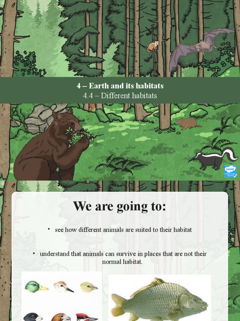 Animals and Their Habitats Explained | PDF