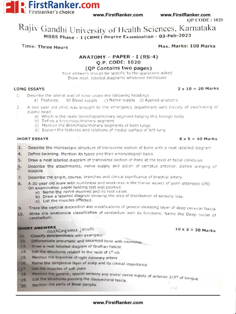 Questions Paper MBBS | PDF