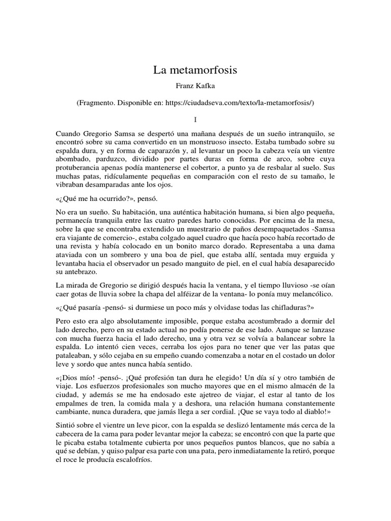 La Metamorfosis Kafka Fragmento | PDF