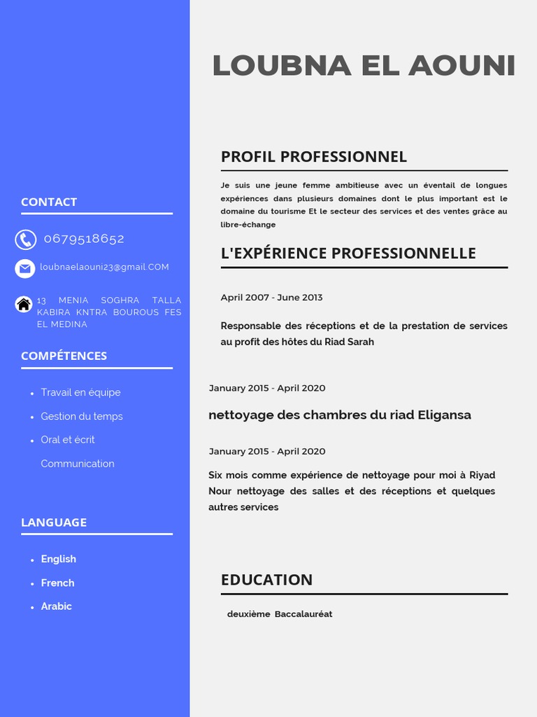 CV Loubna | PDF