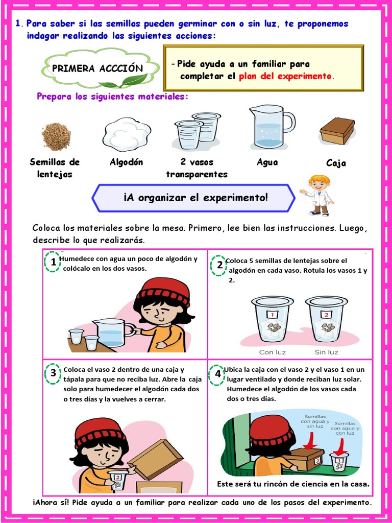 Experimento de Germinación | PDF | Semilla