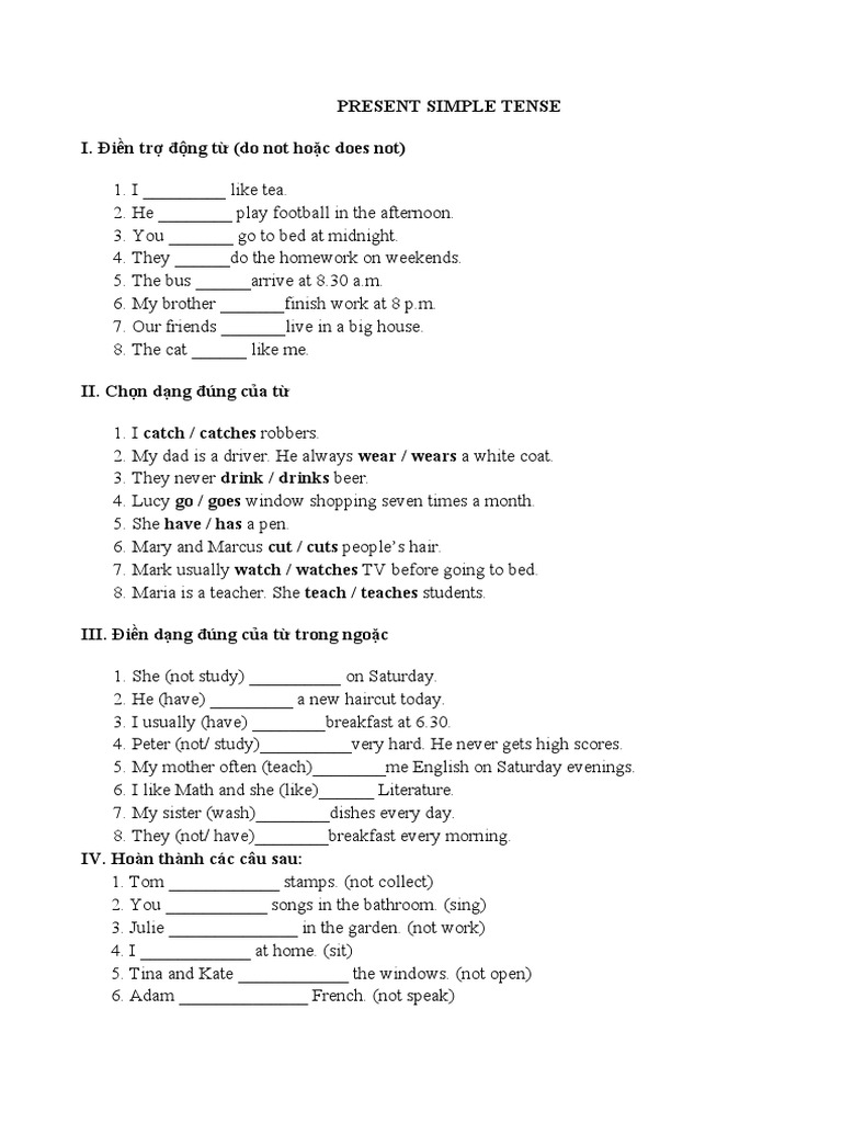 Present Simple | PDF