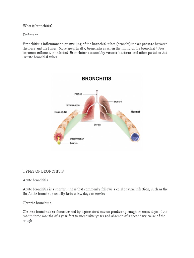 What Is Bronchitis 2 | PDF | Bronchitis | Cough