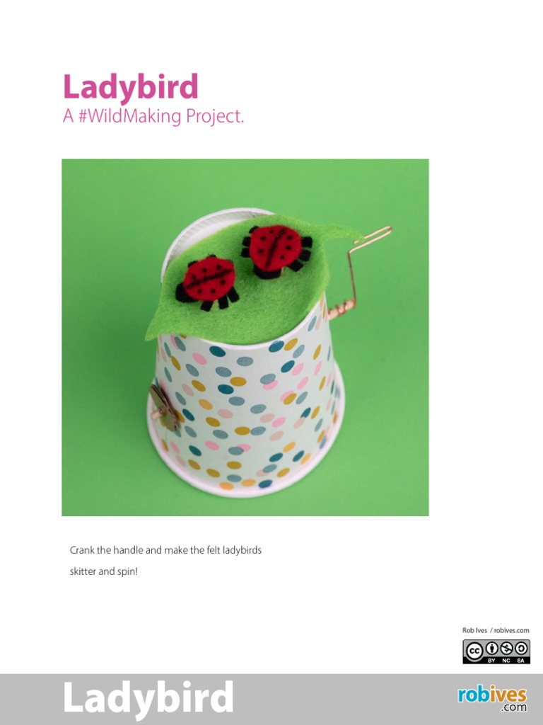 Lady Bird Project | PDF