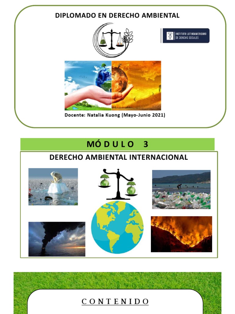Derecho Internacional Ambiental Módulo 3 - Diplomado en D.A. | PDF ...