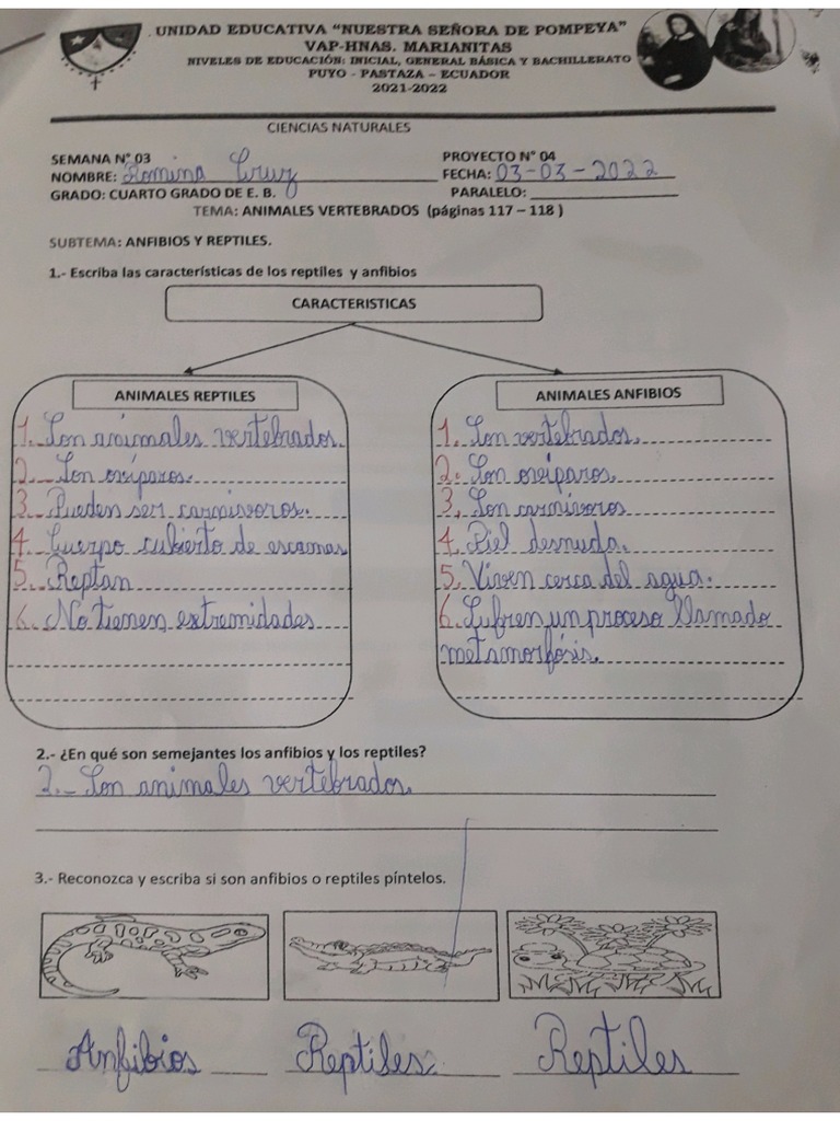Anfibios y Reptiles 3-3-2022 | PDF