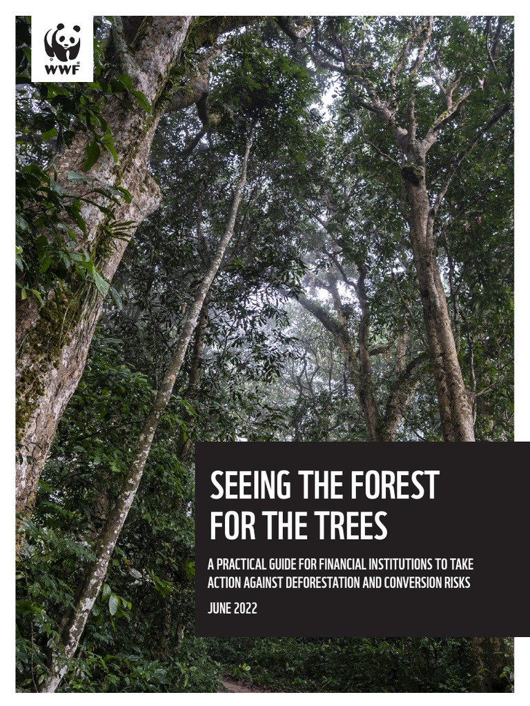 Seeing The Forest For The Trees | PDF | Business | Social Science