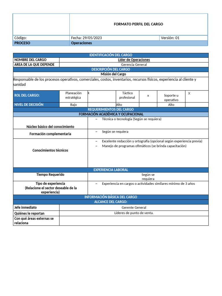PERFIL LIDER OPERACIONES | PDF | Planificación | Business