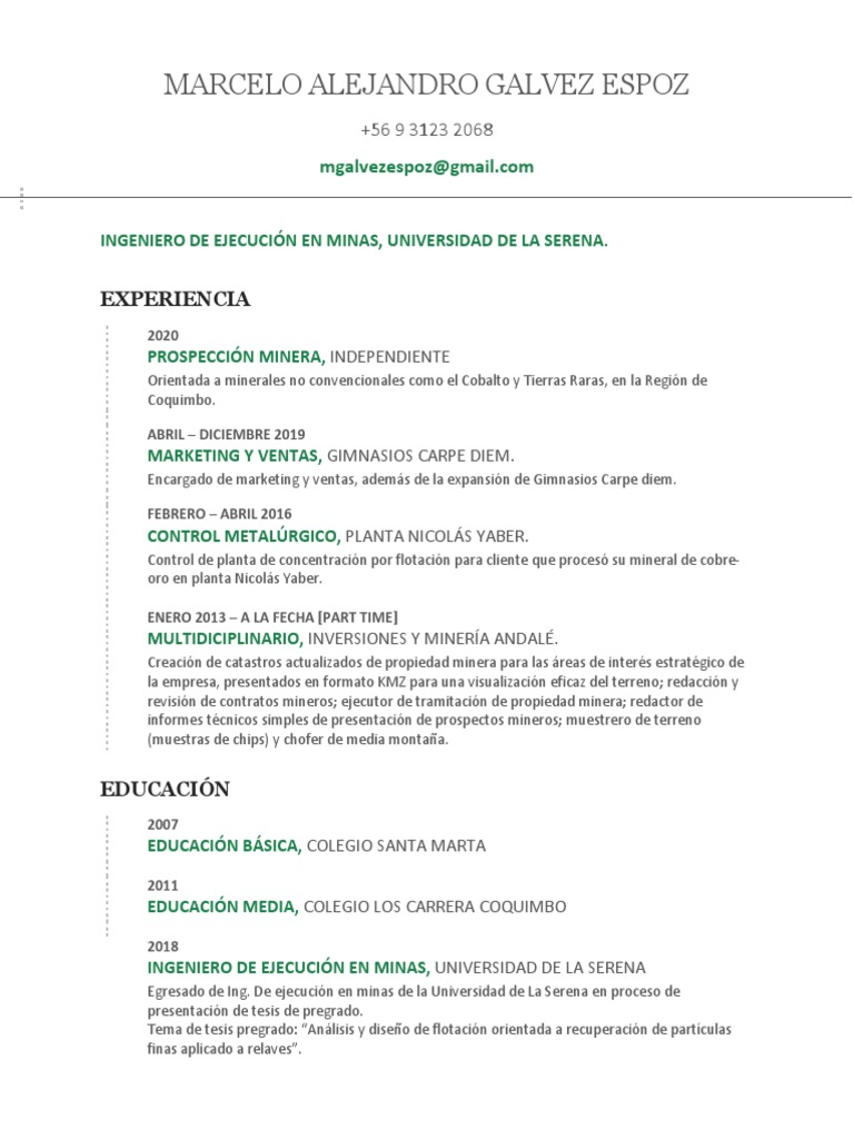 CV Marcelo Galvez 2020 | PDF