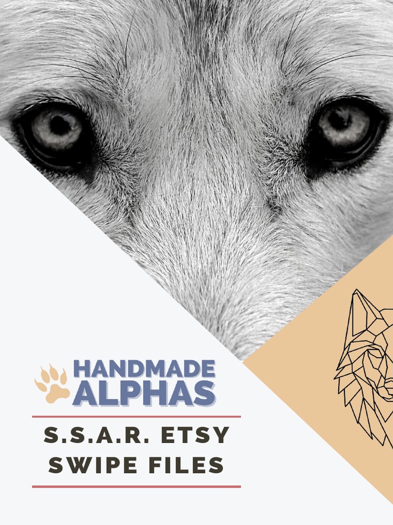 S.S.A.R. Swipe Files | PDF | Etsy | Sales