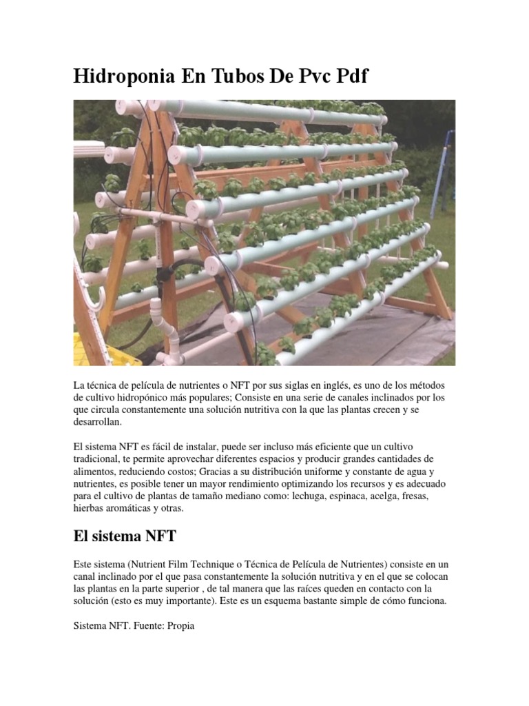 Hidroponia En Tubos De Pvc Pdf | PDF