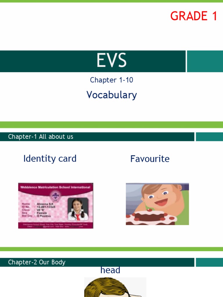 EVS Vocabulary - Grade 1 | PDF | Wellness