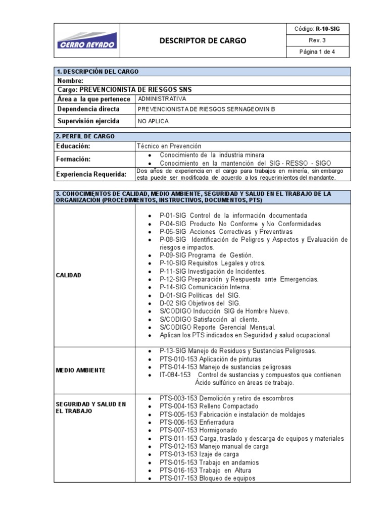 R-10-SIG Descriptor de Cargo Rev Prevencionista (1) | PDF | Residuos | Riesgo