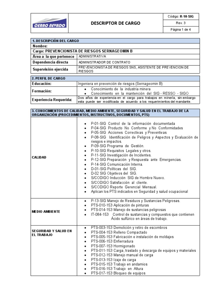Prevencionista de Riesgos Minería | PDF | Negocios | Informática