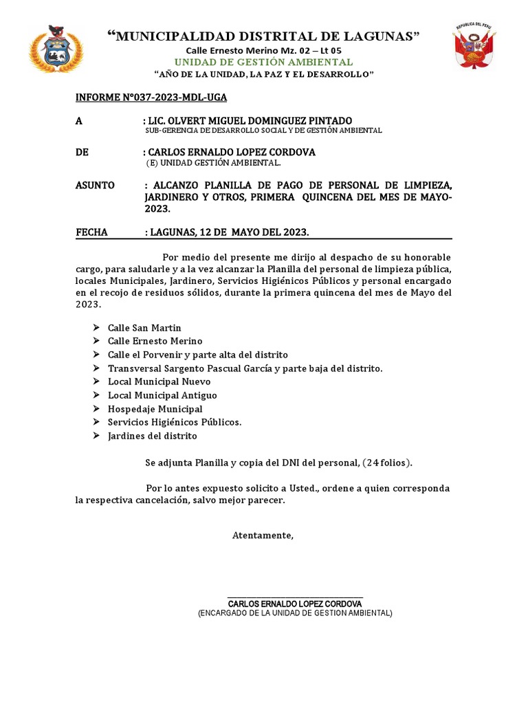 Informe 37 PLANILLA EDY | PDF