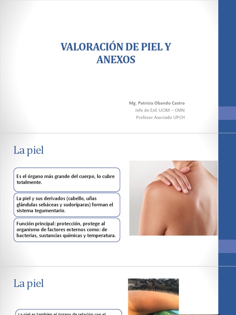Valoración de Piel y Anexos | PDF | Piel | Anatomía