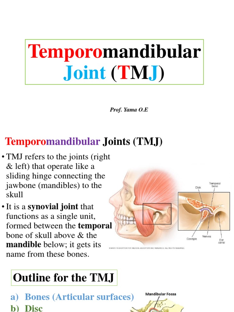 TMJ Lect 2-1-1 | PDF