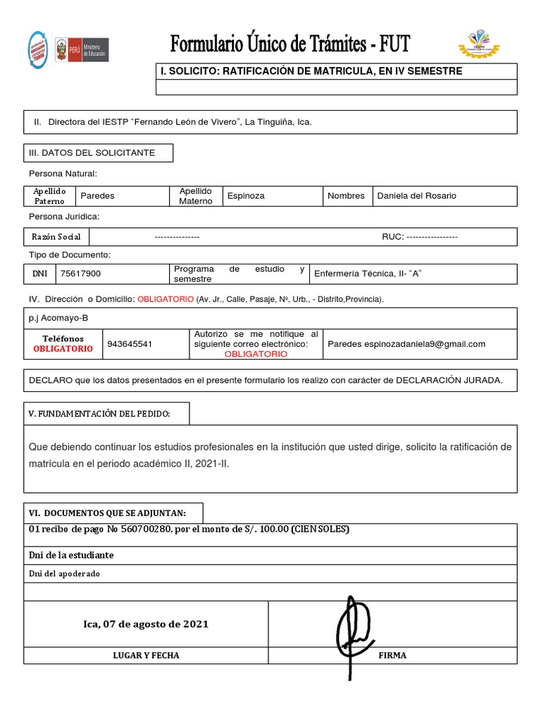 Fut Iestp FLV, Solicitando Matrícula | PDF