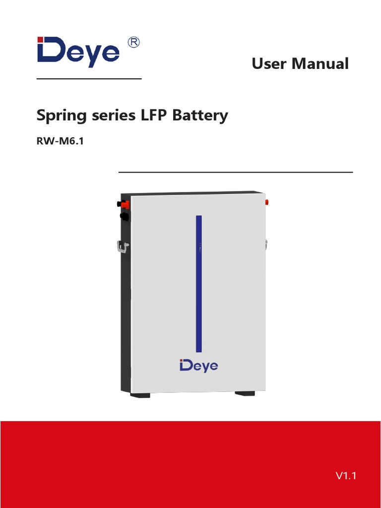 RW-M6.1 LFP Battery User Manual | PDF | Lithium Ion Battery | Acid