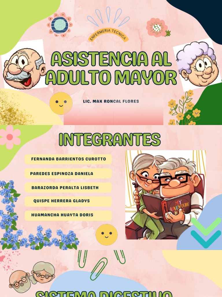 Adulto Mayor | PDF
