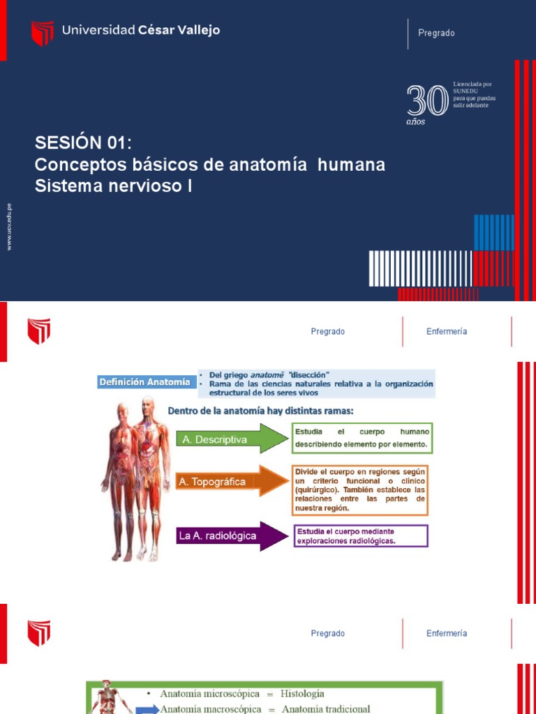Clase 1. Conceptos Básicos de Anatomia y Sistema Nervioso I | PDF
