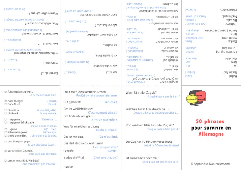 50 Phrases Pour Survivre en Allemagne | PDF