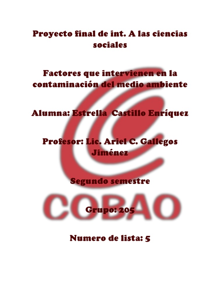 Ensayo Sobre La Contaminación Ambiental 205 | PDF | Contaminación | La ...