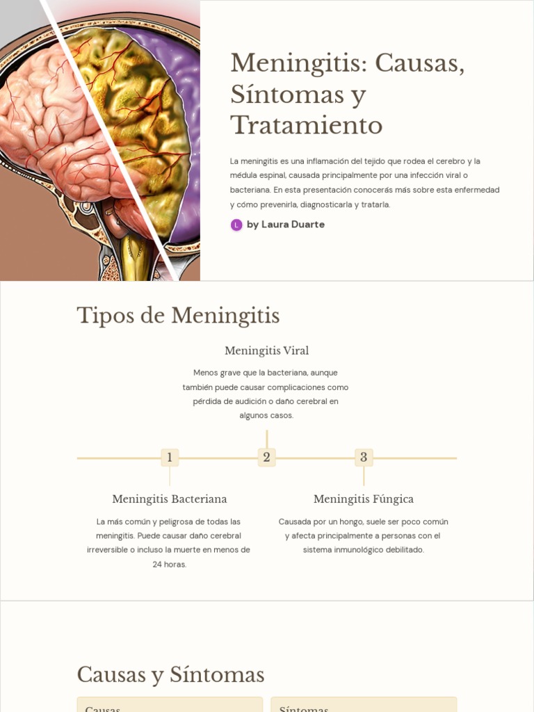 Meningitis Causas, Sintomas y Tratamiento | PDF | Meningitis | Virus