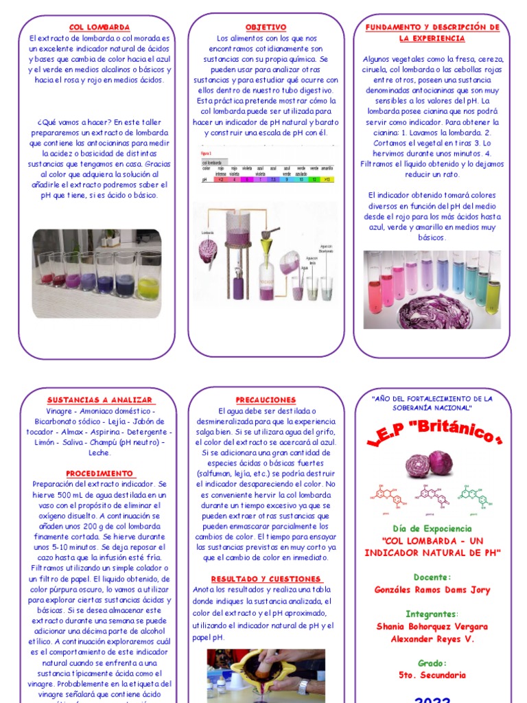 Indicador Natural de pH con Col | PDF | Ph | Ciencias fisicas