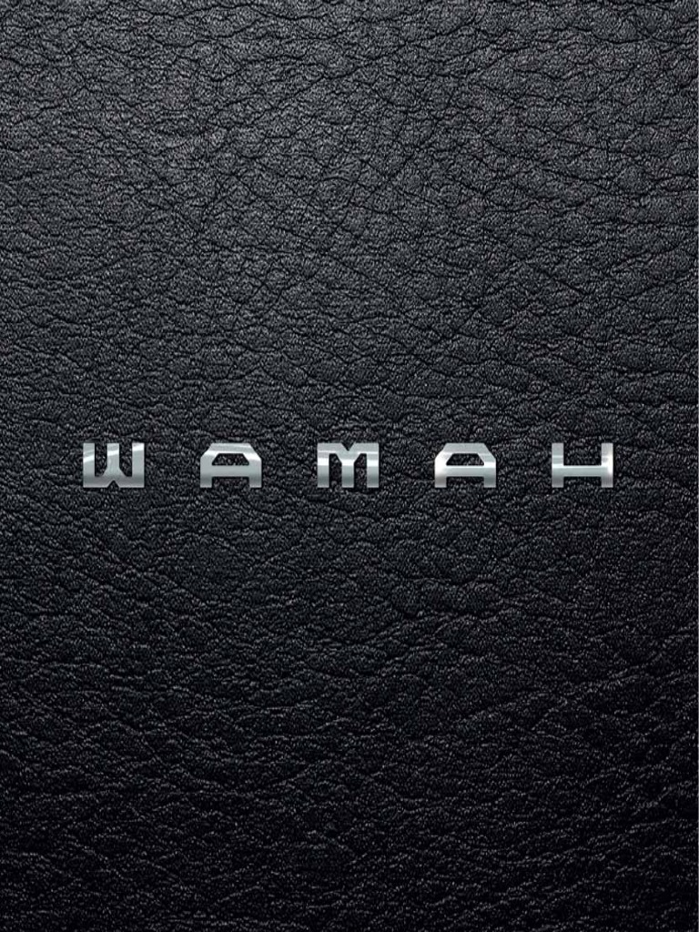 Shaman 2020 Eng | PDF | Engines | Diesel Engine