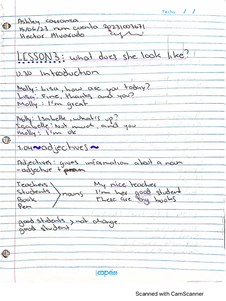 Lección 3 What Does She Look Like | PDF