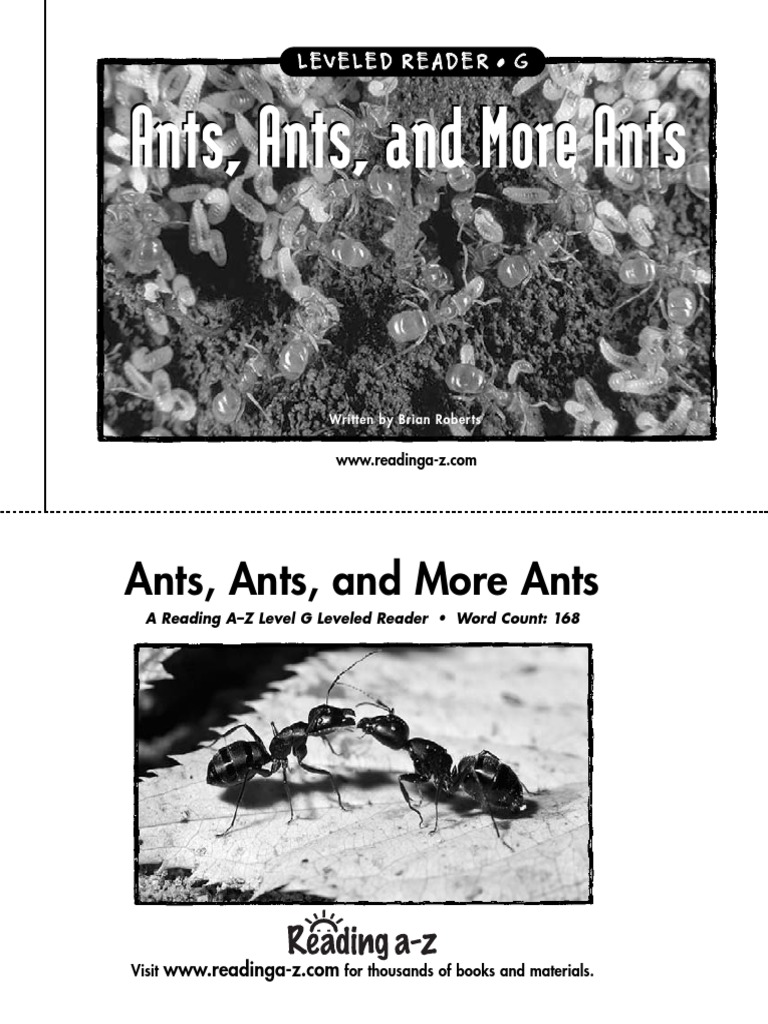 G 12.ants, Ants, and More Ants | PDF | Ant | Nest