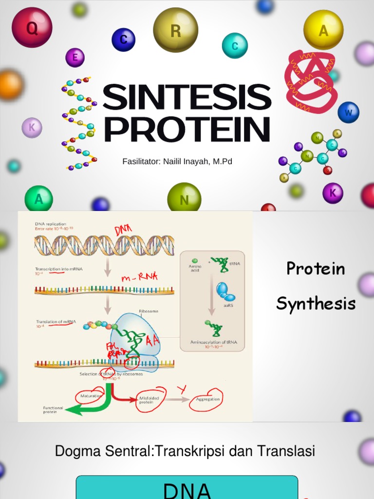Sintesis Protein | PDF