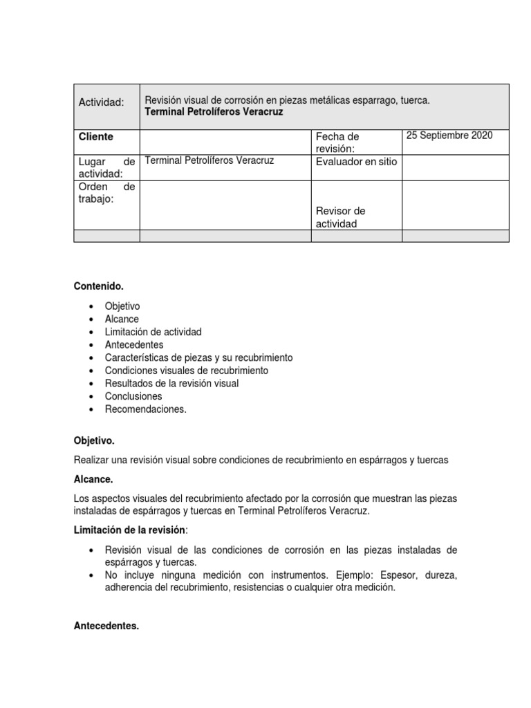 Reporte de Revisión Visual Esparragos y Tuercas | PDF | Revestimiento ...