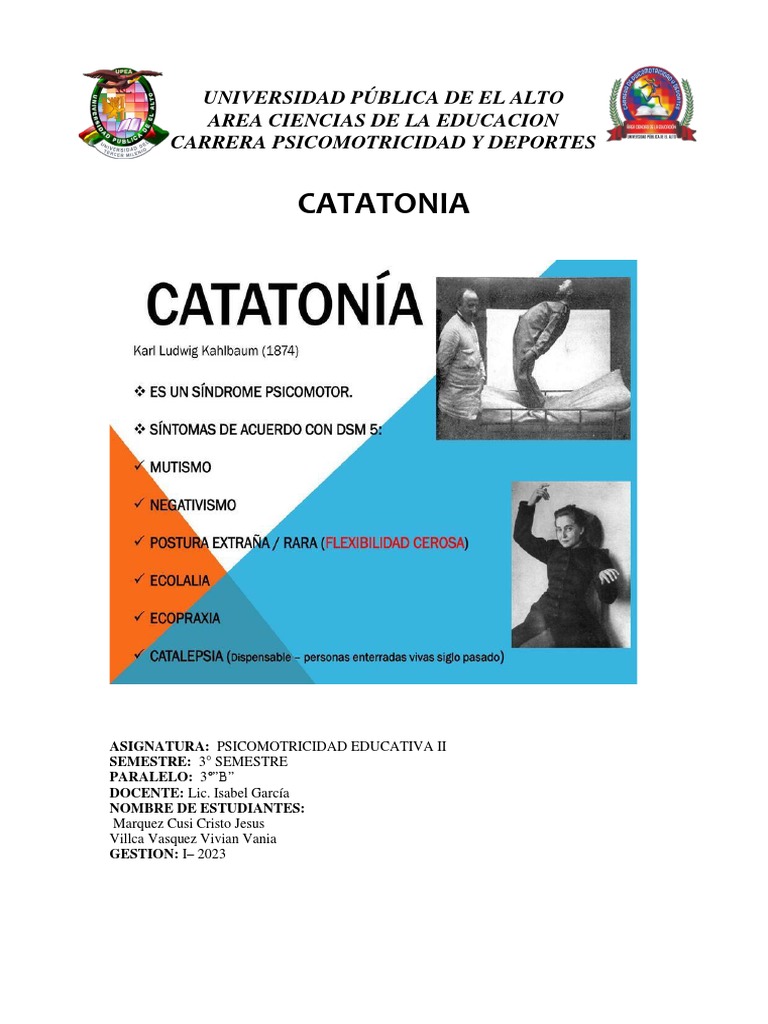 Investigación Catatonia - 1 | PDF