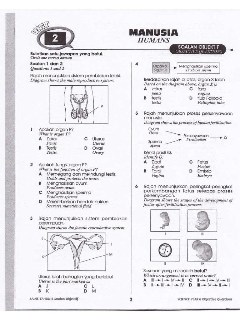 Sains Latihan Tahun 6 Manusia | PDF