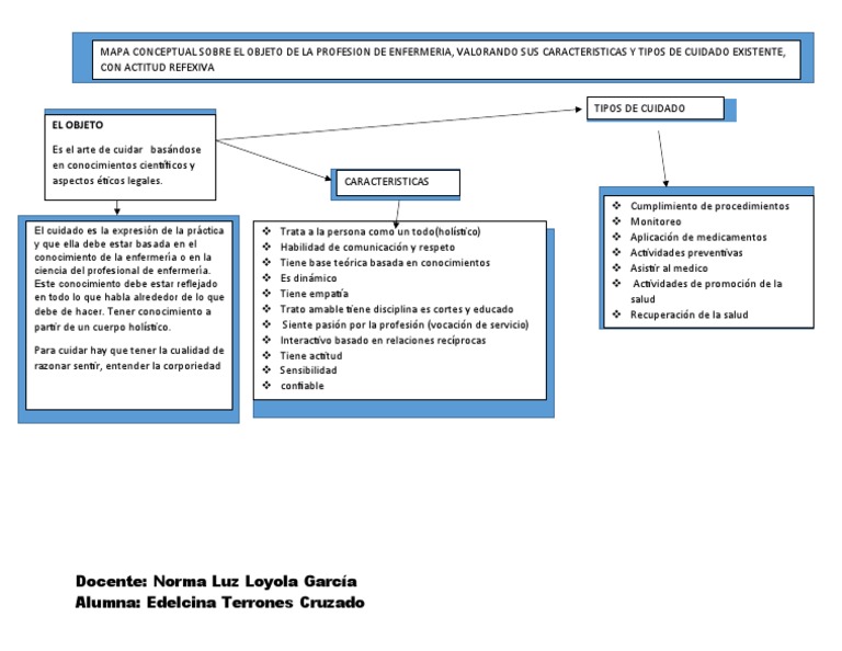 Mapa Conceptual de La Profesión de Enfermería | PDF